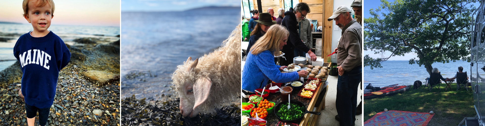 ABOUT US – Makers Guild of Maine