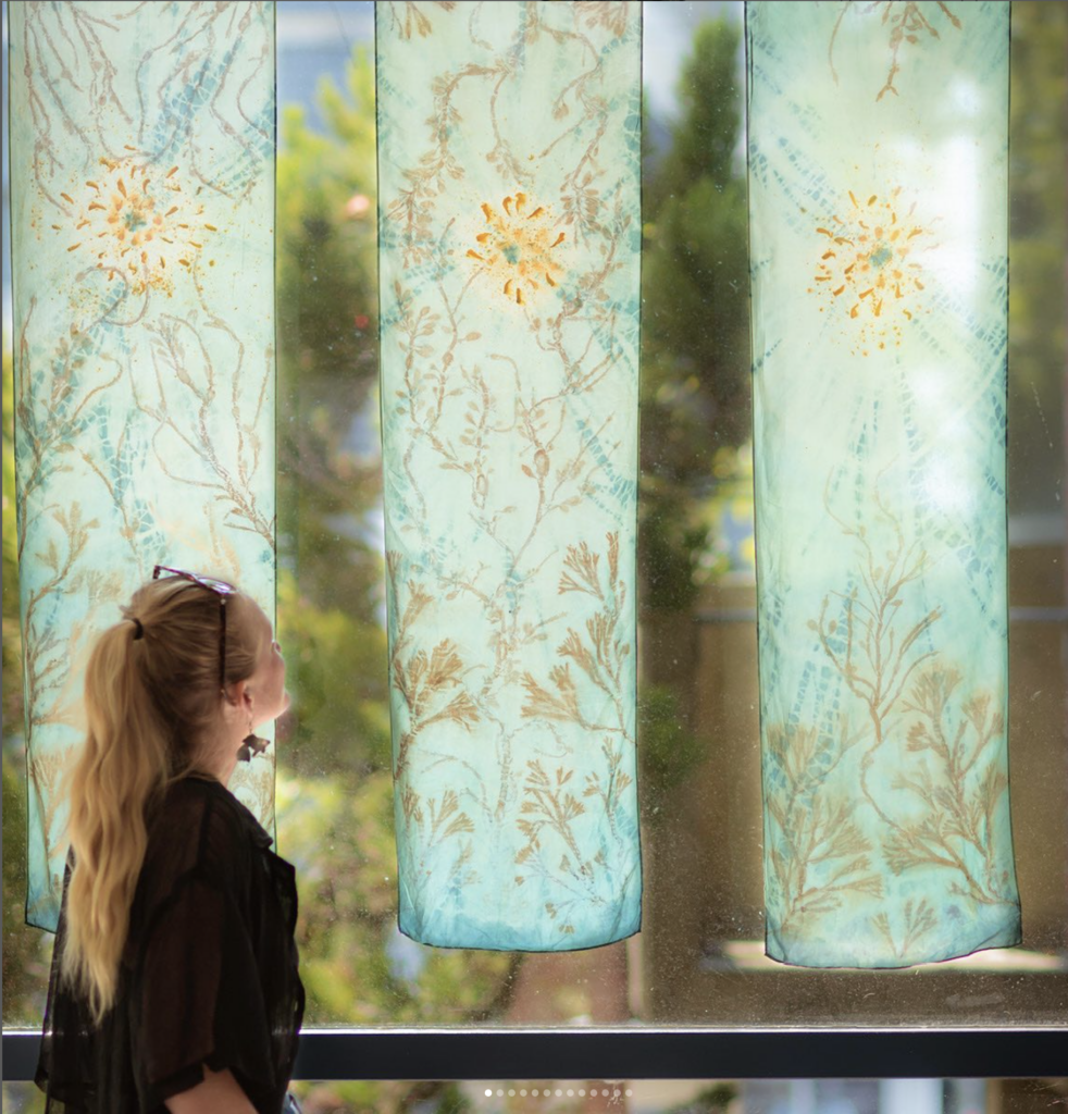 2025 Eco Printing – Makers Guild of Maine